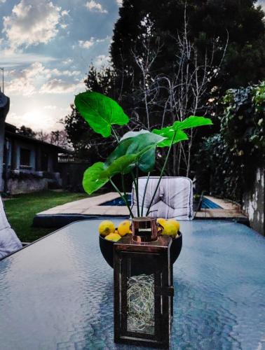 Leana Hub Guest House - Potchefstroom