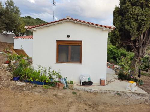 Kosmarana Skopelos Realty - Скопелос