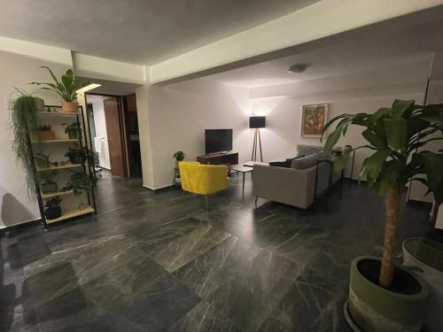 Great Apartment In The Heart Of Coyoacan - Mexico City