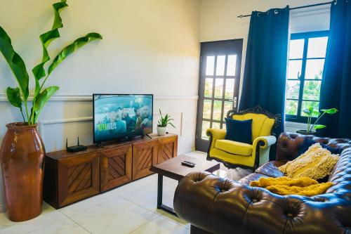 Cozy And Quirky Wolf Apartment - Paramaribo