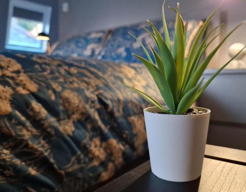 The Penthouse Ny Loft Apartment - Barmouth