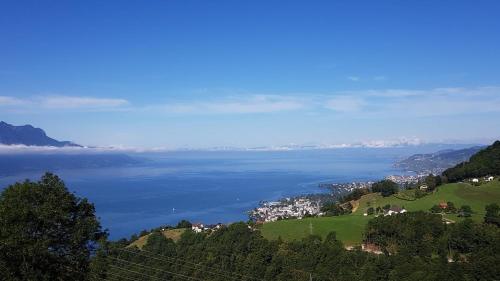 La Pergola - Montreux