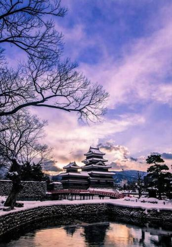 Forest Agata - Matsumoto
