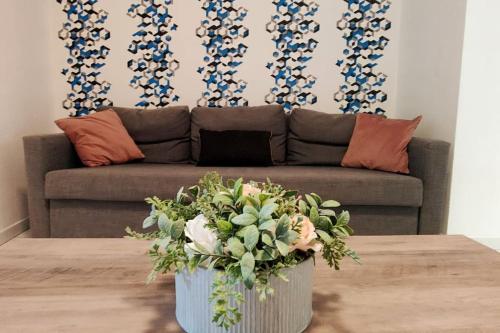 T3 Rez-de-chaussee Centre Douai - Douai