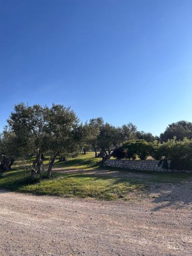 Mobile home Max - Drage