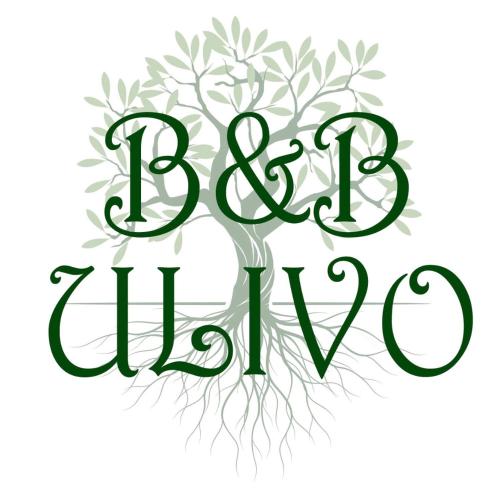 Ulivo - Trapani