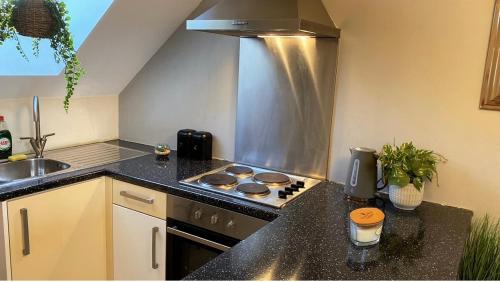 Studio One Bedroom En-suite With Kitchenette - Bracknell
