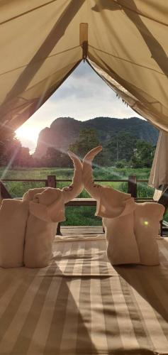 ลูกช้างเขาใหญ่แคมป์ - Muak Lek District