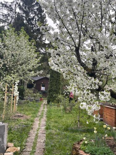 Fußball-hochburg! Gartenparadies Fur Campen/zelten - Bade-Wurtemberg