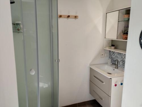 Chambre Avec Un Acces Independant Et Salle De Bain Et Toilette Privatifs - Lille