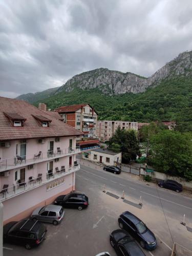 Pensiunea Paradis Baile Herculane - Băile Herculane