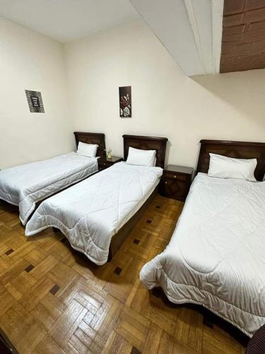 Salvatore Room -Room Only -Downtown - Caïro