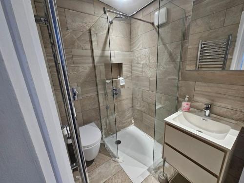 1 Bed House Luton Town Center - Luton