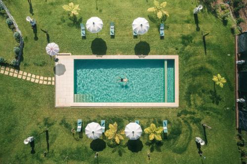 Villa Camelia Boutique House - Madeira