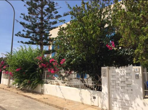 Villa La Palmetta A San Vito Lo Capo - San Vito Lo Capo