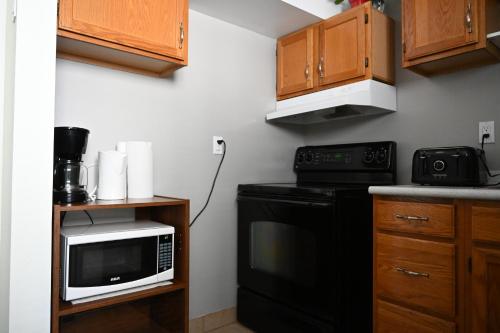 Charming Downtown Niagara Falls Apartment - Niagara Falls, NY