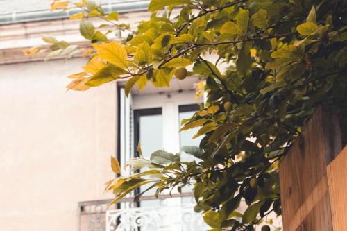 L'etape - La Maison Des Amis - Tours