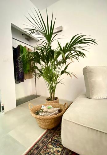 Suite Con Giardino Ravenna - Ravenna