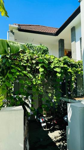 Adijaya Rooms - Seminyak
