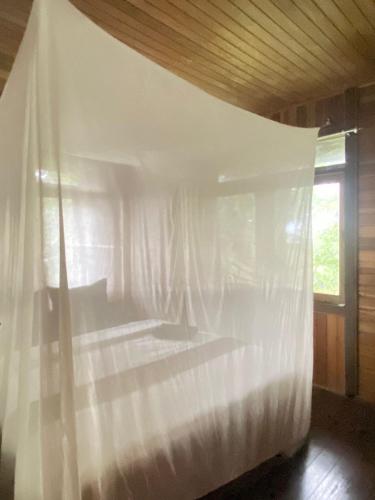 Rimba Eco Resort - Tomohon