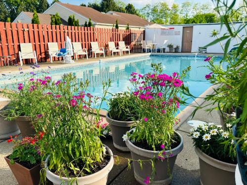 Quality Lodge - Cedar Point Area - Sandusky, OH