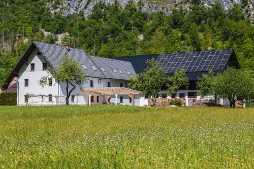 Domacija Log V Bohinju - Bohinj