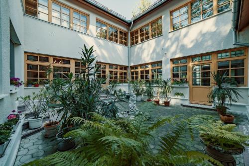 Villa Alba By Akasha Retreat - Bran