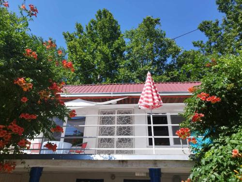 Tisza 56 Vendeghaz - Szeged