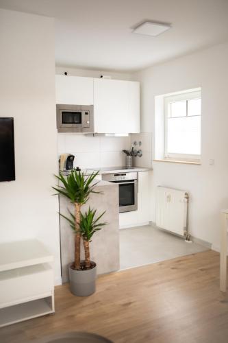 Hugos Studio Apartment - Wiesloch