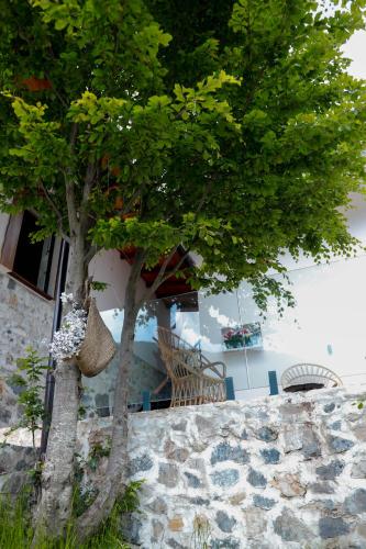 Hotel Thethi - Theth, Albania - Updated 2026: Hotel prices and reviews ...