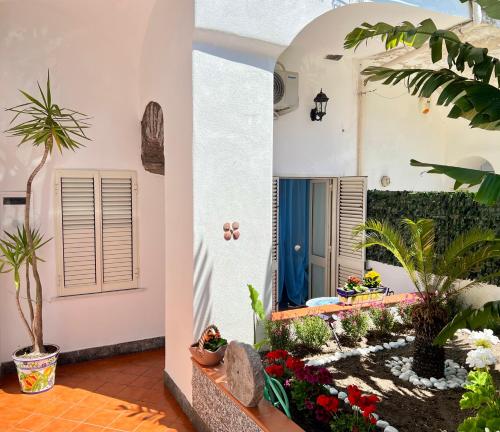 Villino Annamaria - Ischia Porto