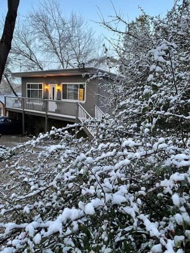 Luxmi - "New To Booking" - Katoomba