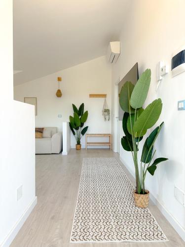 Sunny House Gabicce - Cattolica