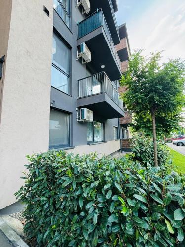 Kiki Home - Oradea