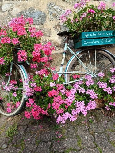 'Quelle Belle Vue' Chambre D'hote - Confolens