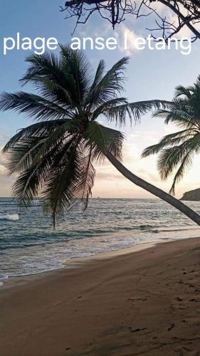 La Tartane - Martinique