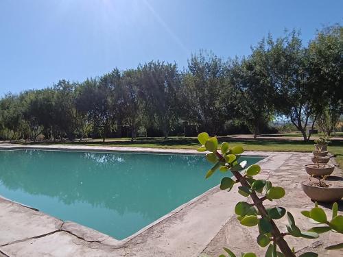 Kwelanga River Lodge - Vioolsdrif