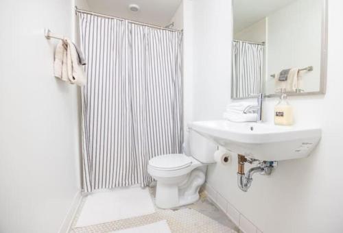 Beautiful 1 Bed Studio Apt Close To Hospitals! - Des Moines, IA
