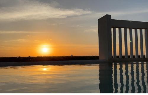 Urban Jungle Collection - Cancún