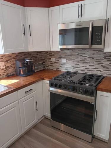 Condo Apartment Near Midway Airport - Worth, IL