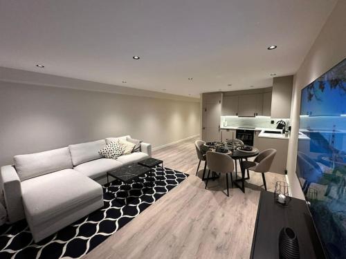 Central Luxurious Apartment - Oslo