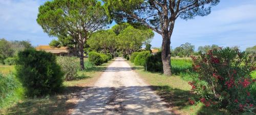 Mas Du Grand Peloux - Camargue