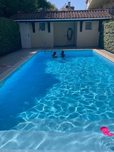 Chambre Chez L'habitant Au Calme Avec Piscinne - Bordeaux