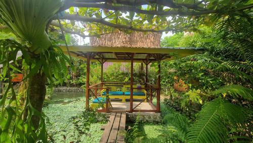 Magpie Homestay & Jungle Trekking Especially For Guest Trekking With Us - North Sumatra