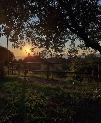 Guar Country Resort - Provincia di Caserta