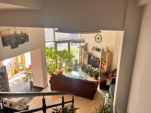 Live Tulcea Hotel - Tulcea