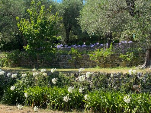 La Carabella - Pension de famille, 36 Chemin du Moulin, 06650 Opio ...