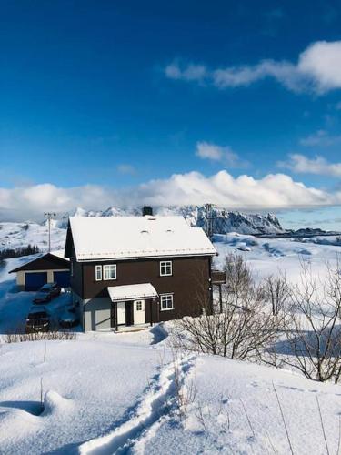 Lofoten Apartment - Svolvær, Norway - Updated 2026: Prices and reviews ...