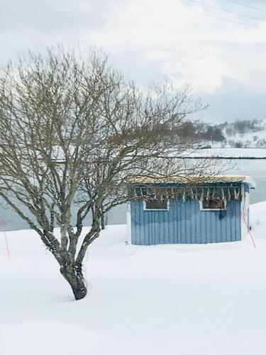 Lofoten Apartment - Svolvær, Norway - Updated 2026: Prices and reviews ...