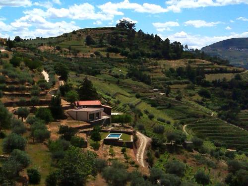 Quinta Da Lua Villa Douro Valley - Alijó
